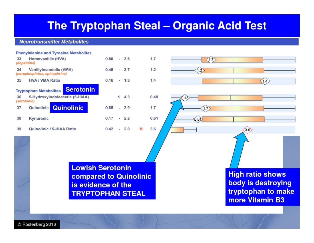 The Tryptophan Steal - The Hidden Reason Stress Makes You Depressed ...